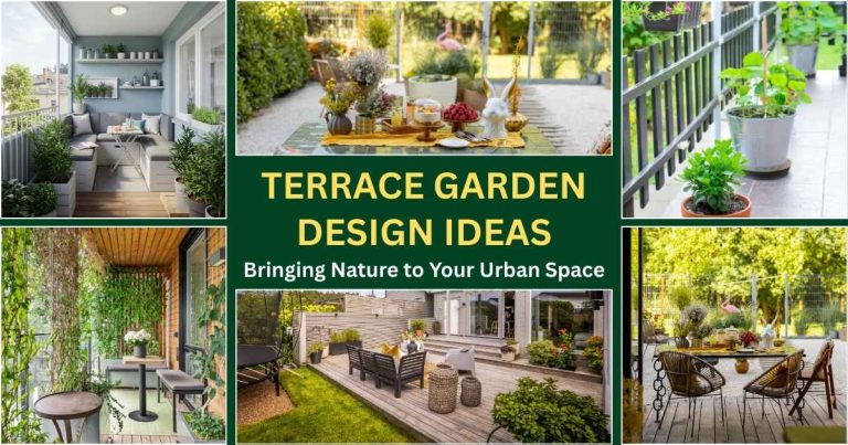 Terrace Garden Design Ideas: Bring Nature to Your Urban Space - Tactzone India